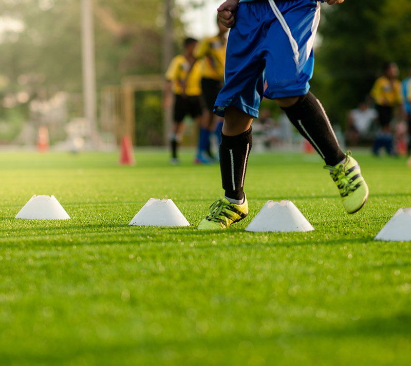 Empower Sports – Leading Sports Infrastructure Developer